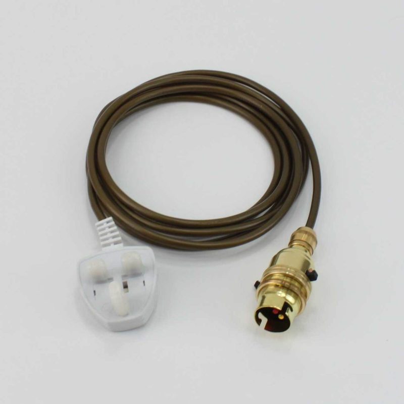 Gold Lead With Brass BC Swiched Lampholder - Lampspares.co.uk